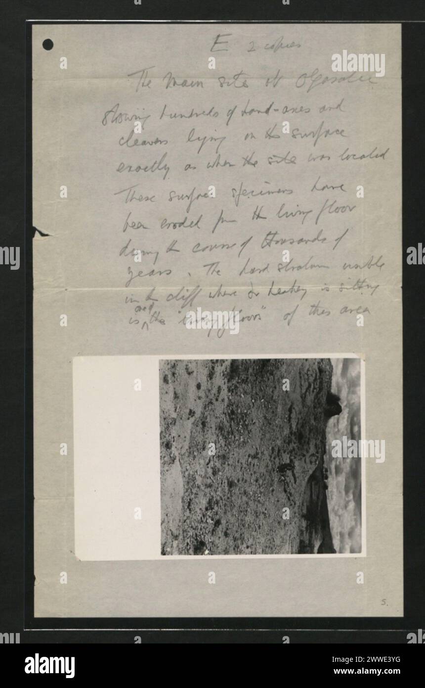 Description: Photographs of archaeological excavations at Olorgesailie ...