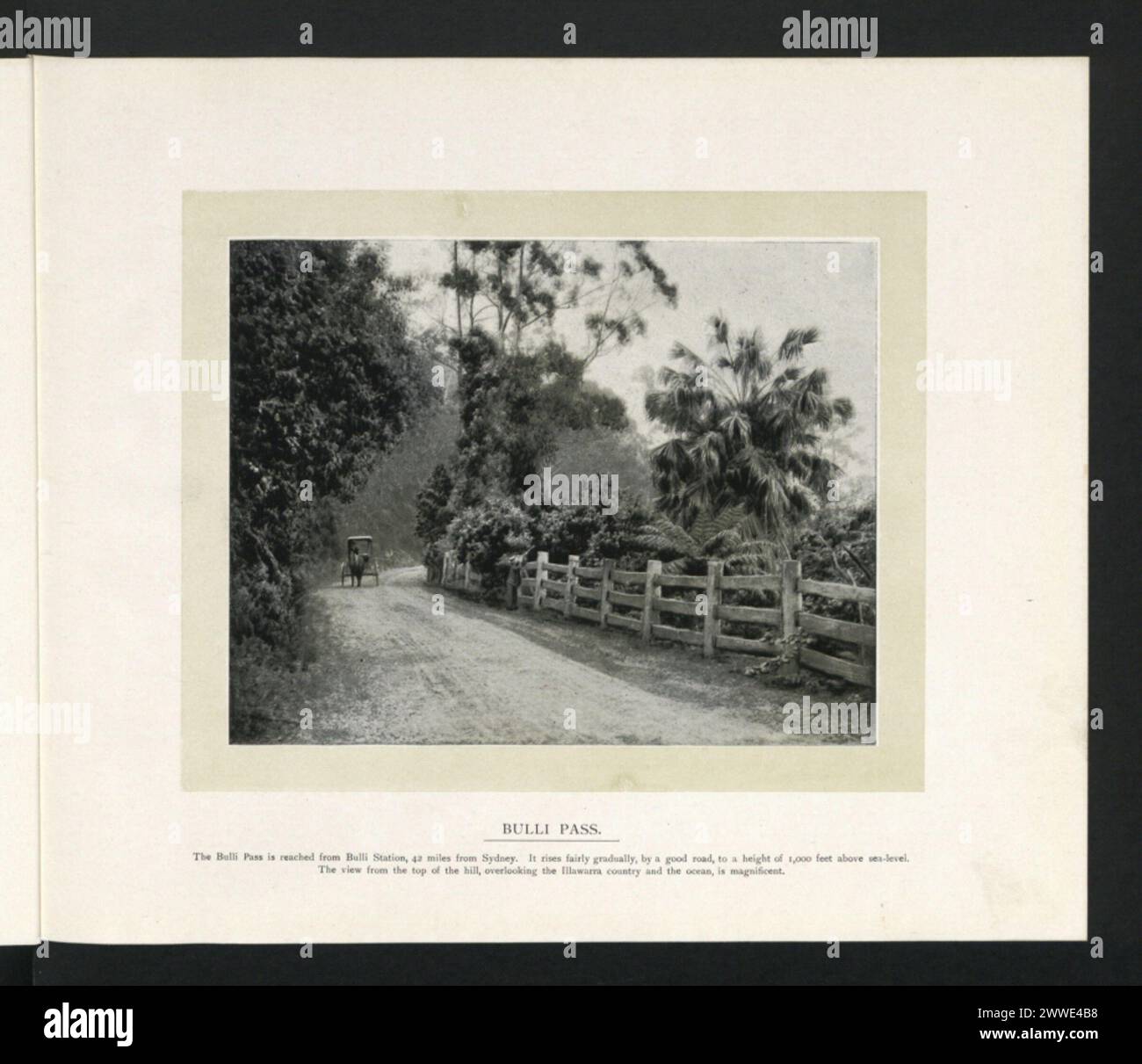 Bulli station hi-res stock photography and images - Alamy