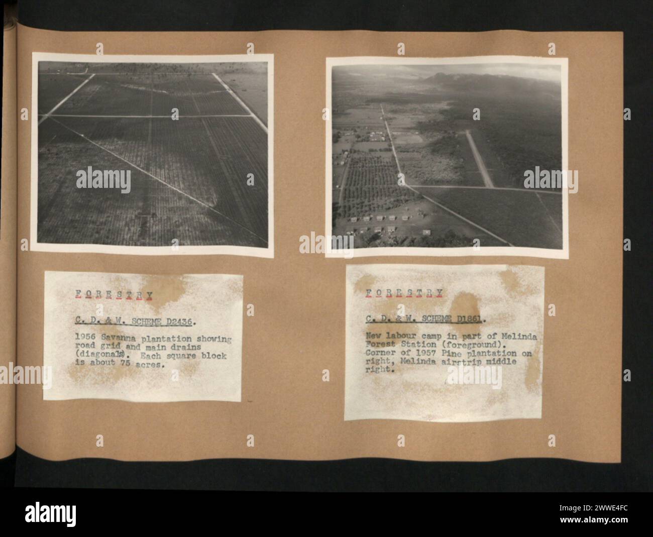 Description: Forestry. C. D. & W. Scheme D2436. 1956 Savanna plantation ...