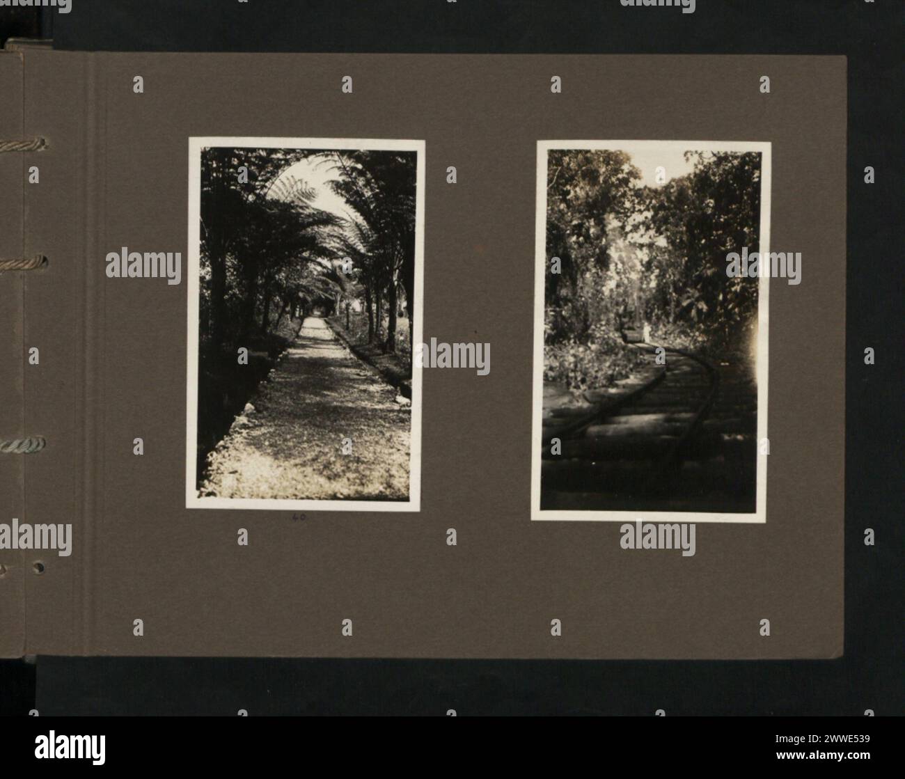 Description: Typical foot road, Vanikoro. Location: Vanikoro, Solomon ...