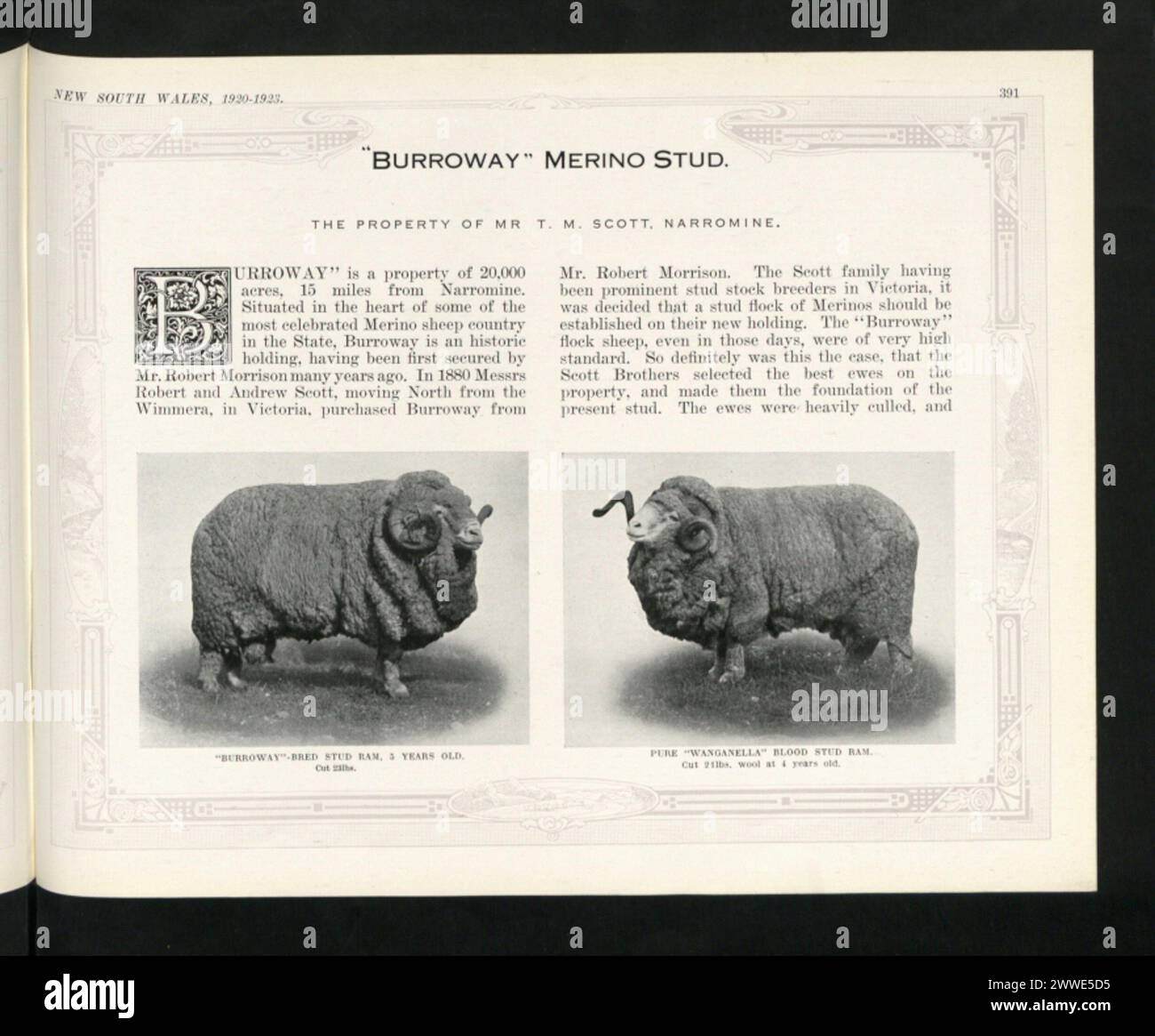 Burroway hi-res stock photography and images - Alamy