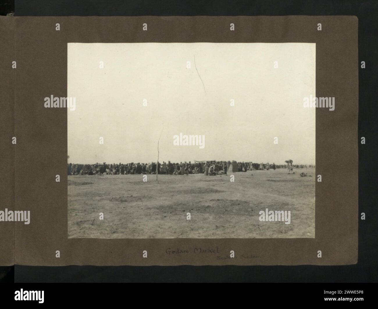 Geidam hi-res stock photography and images - Alamy