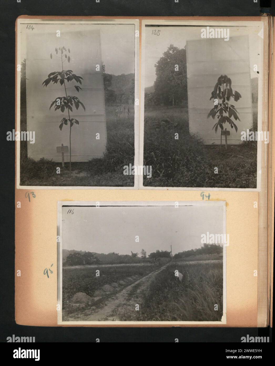 Geographic reference specific area borneo malaysia mapping regional ...