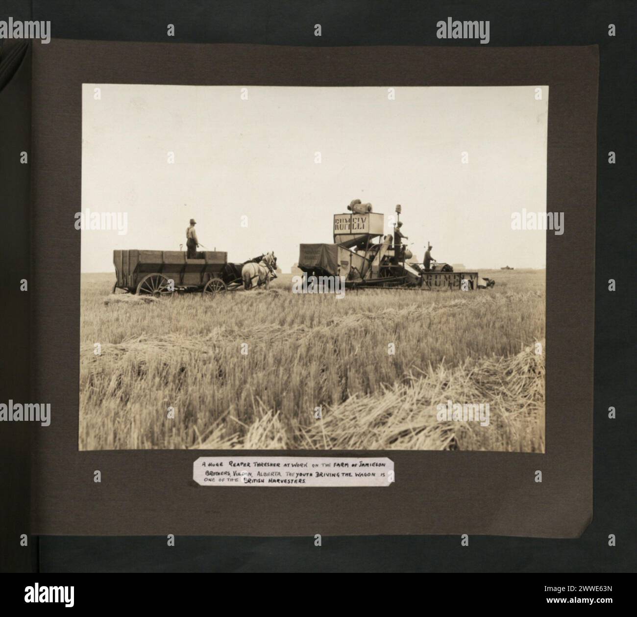 Date farm youth hi-res stock photography and images - Alamy