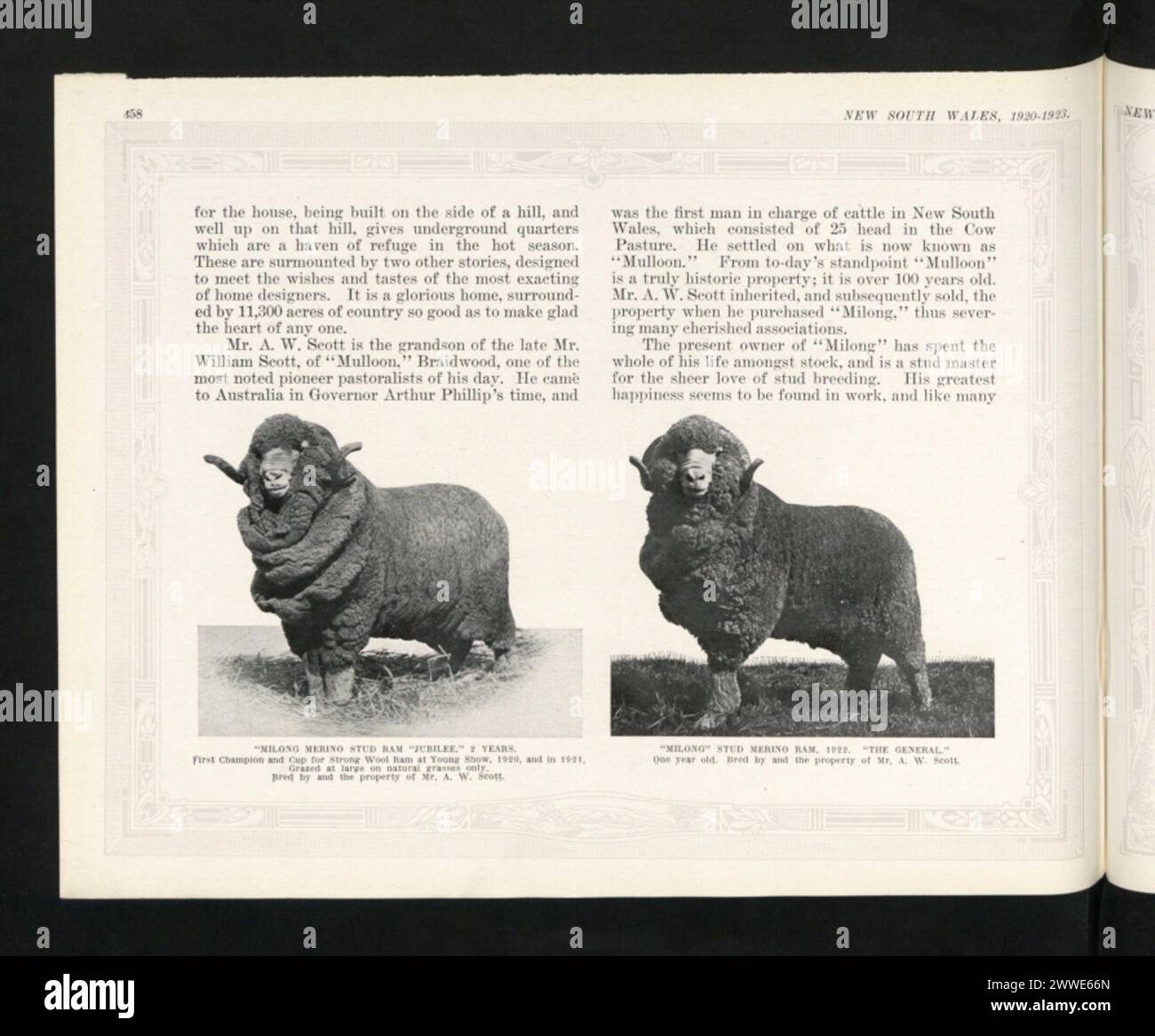 Strong wool hi-res stock photography and images - Alamy