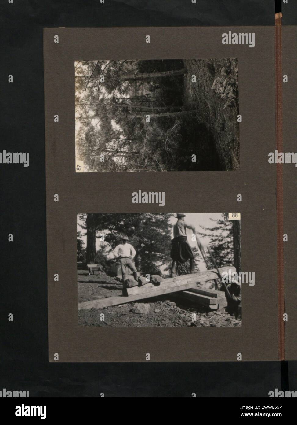 Pit sawing hi-res stock photography and images - Alamy