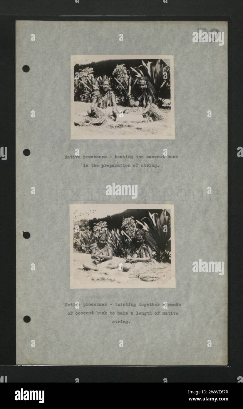 Description: Native processes - beating the coconut husk in the ...