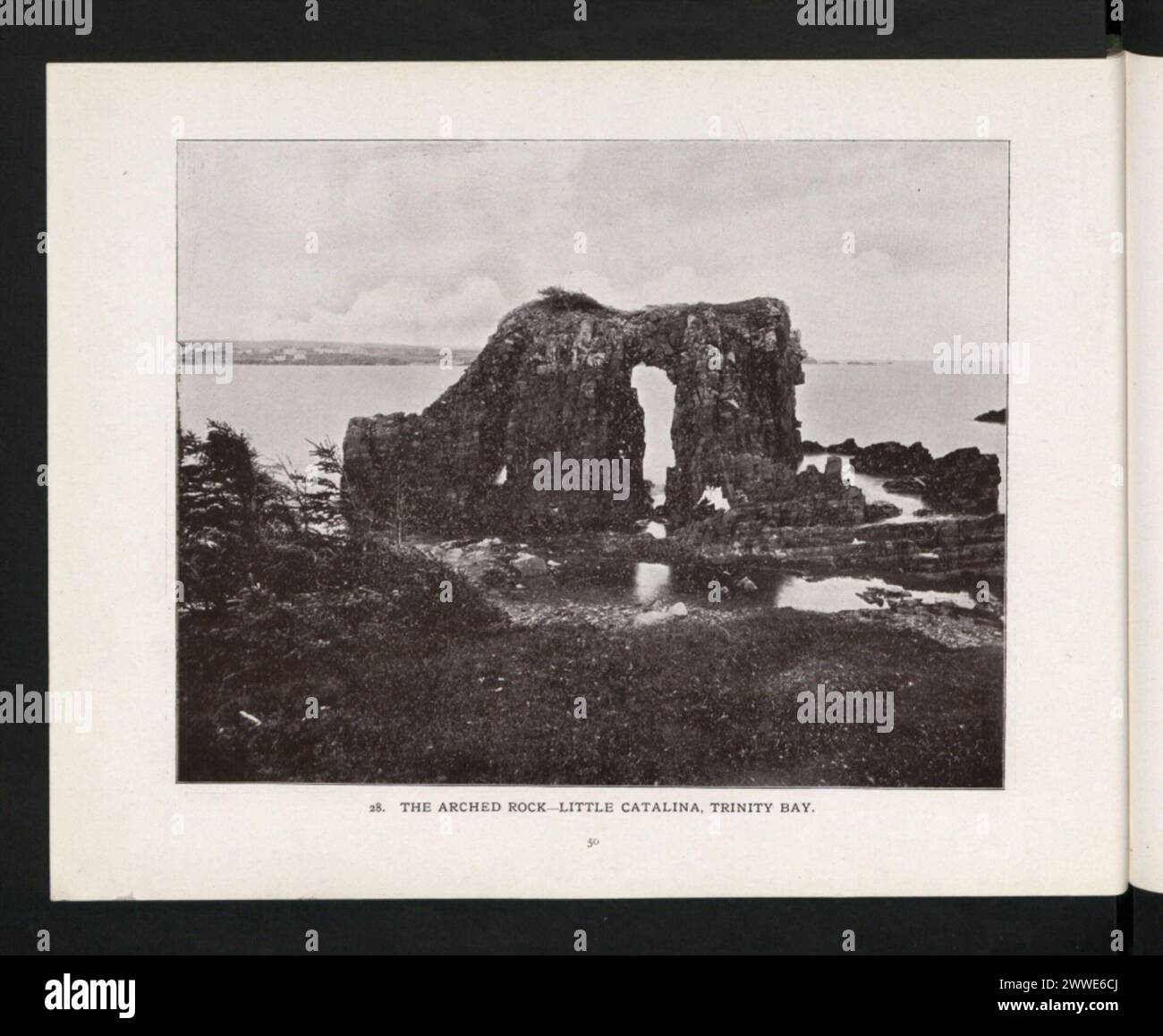 Description: The Arched Rock - Little Catalina, Trinity Bay. Location ...