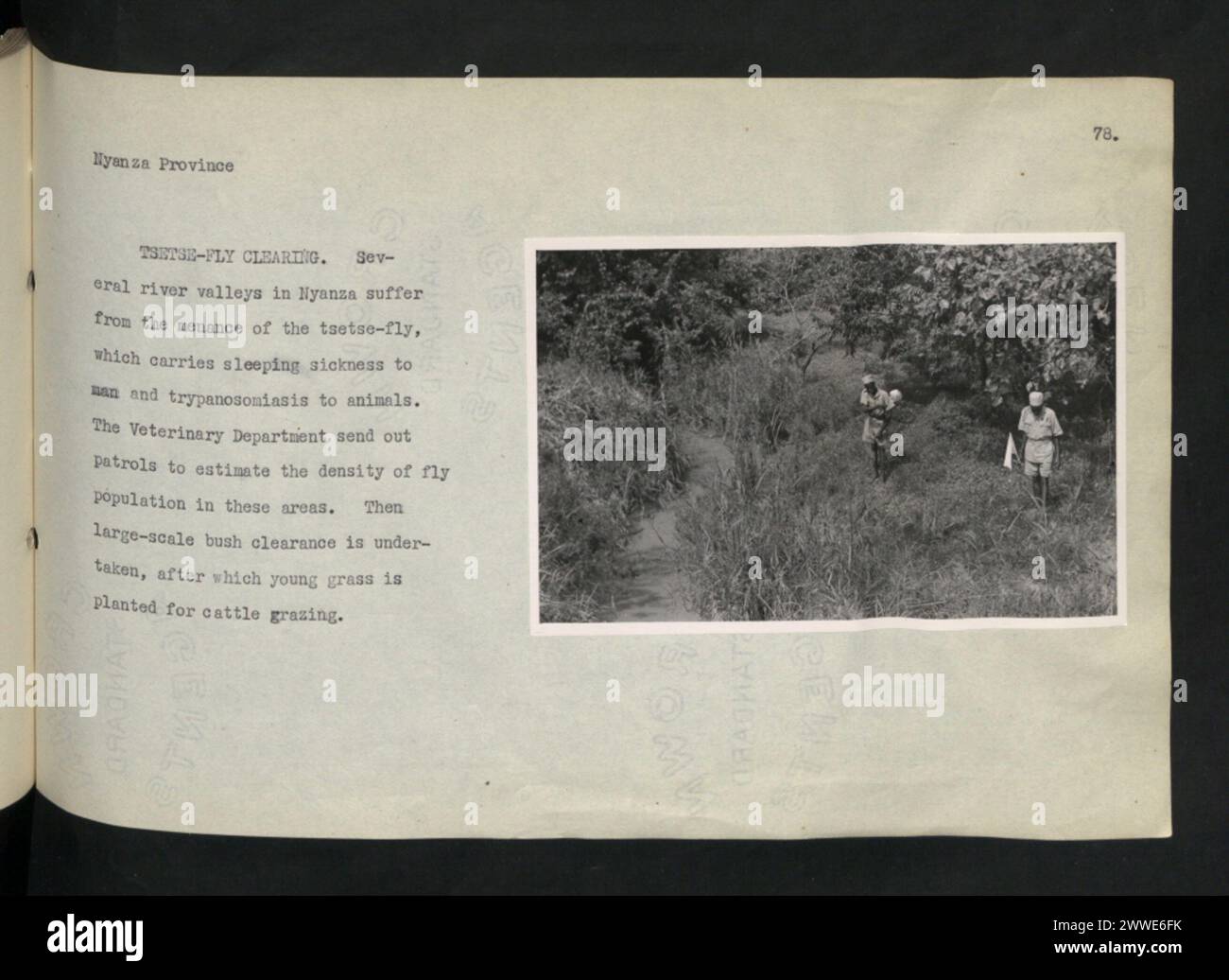 Description: Nyanza Province. Tsetse-fly clearing. Several river ...