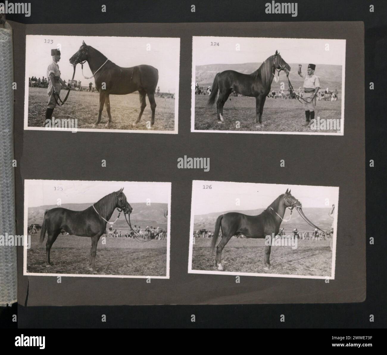 Description: Photographs of the Cavalry Regiment annual sports at Samakh, Palestine Location ...