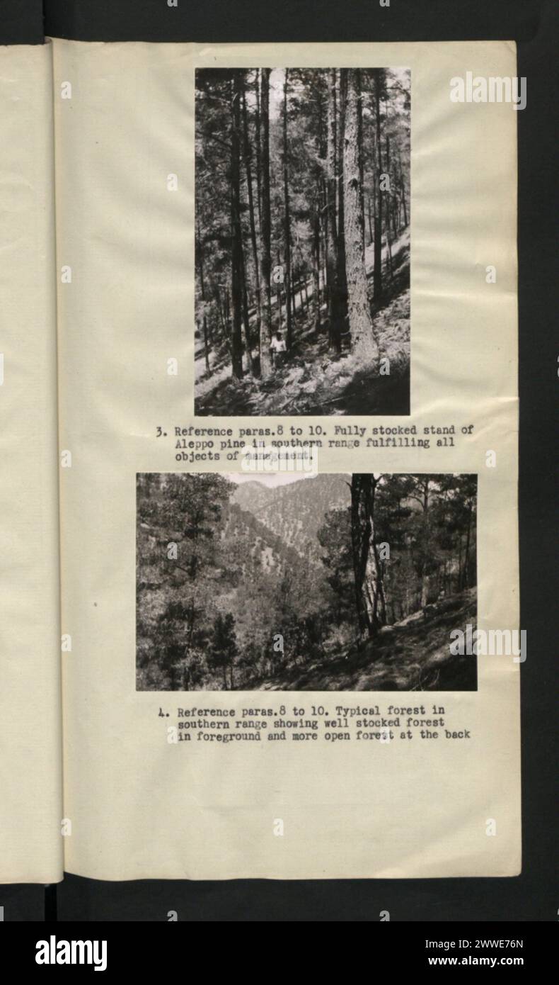 Forest_area hi-res stock photography and images - Alamy