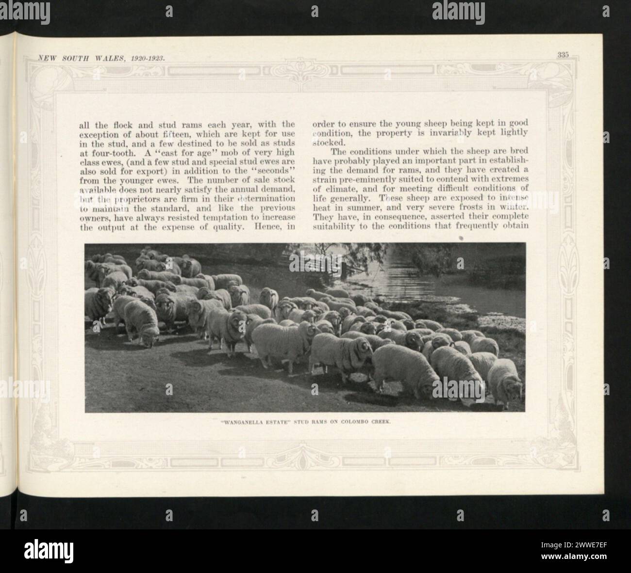 Wanganella creek hi-res stock photography and images - Alamy