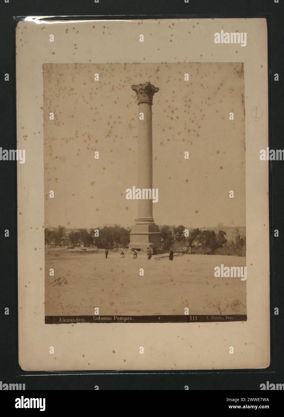Description: Alexandrie. Colonne Pompee. Location: Alexandria, Egypt ...