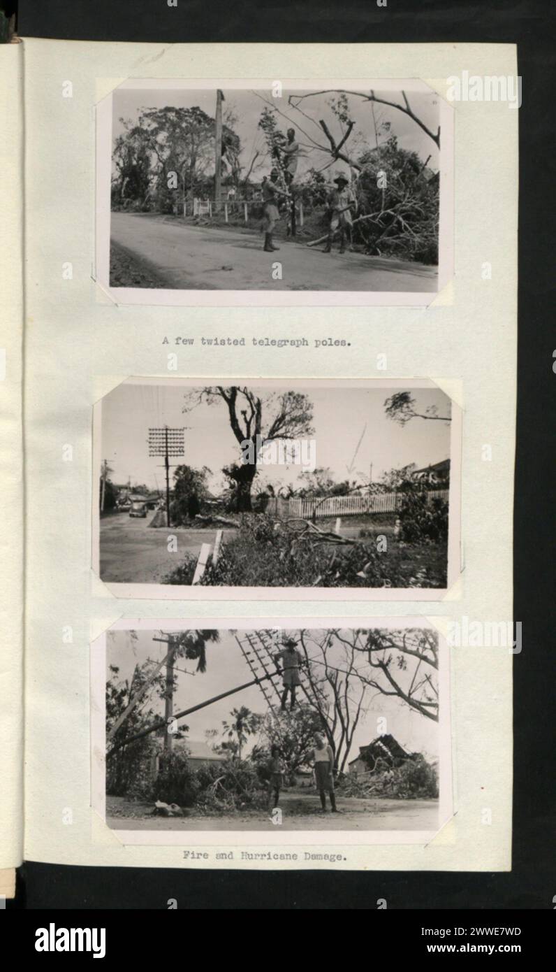 Description: Tree - blocking Williamson Road in front of the "Oceanic ...