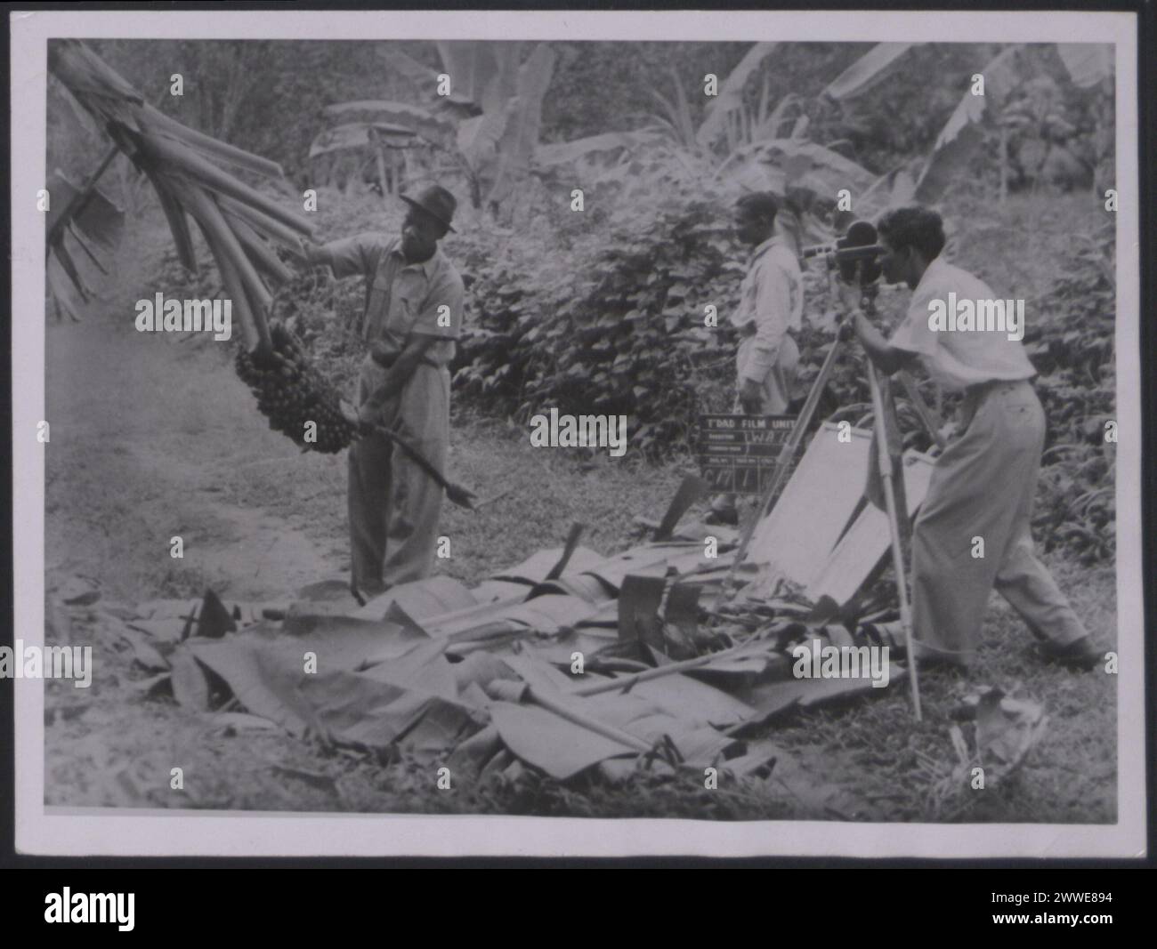 Description: Trinidad and Tobago. 'Trinidad film unit shooting a scene ...