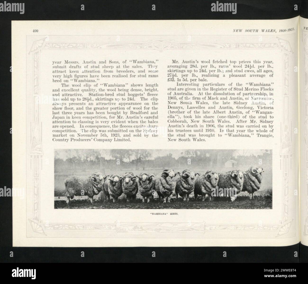 Description: Wambiana Sires. Location: New South Wales, Wambiana ...