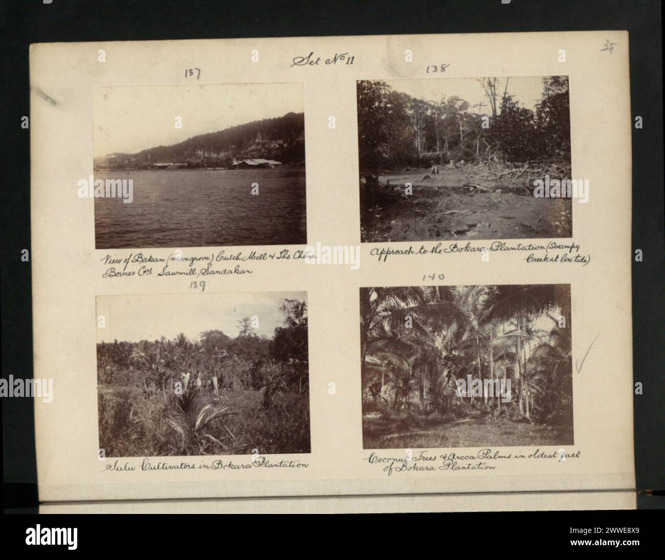 Description: View of Bakan (mangrove) Cutch Mill of The China Borneo ...