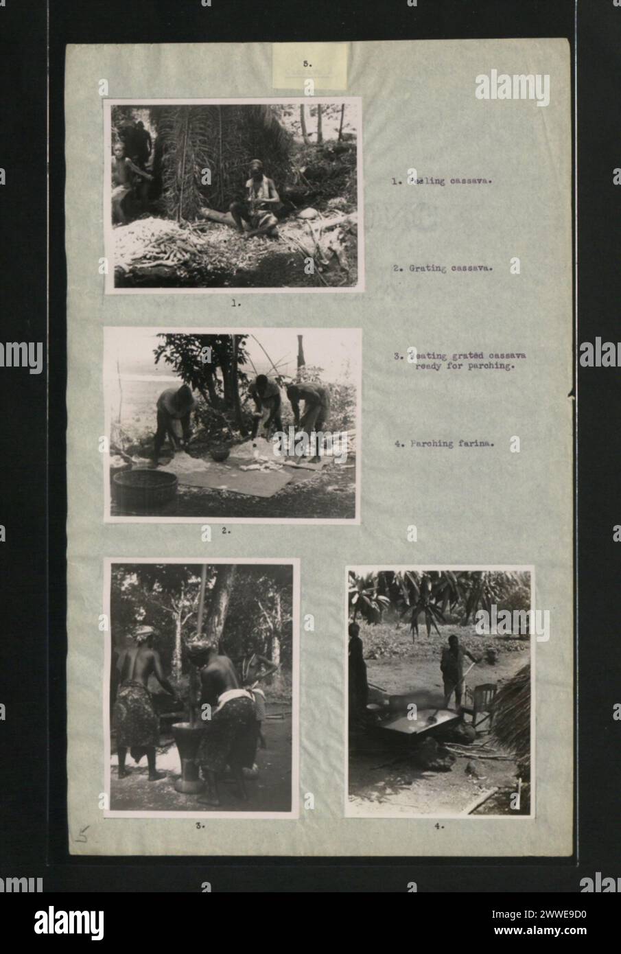 Description: Peeling cassava. Description: Grating cassava. Description ...