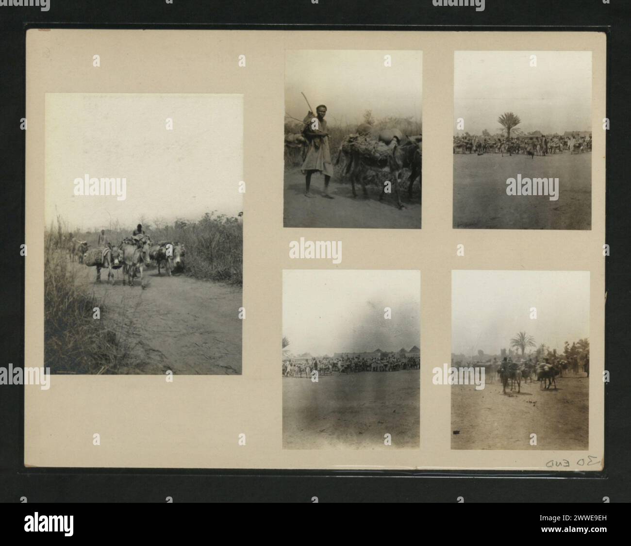 Description: Kanuri market africa Stock Photo - Alamy