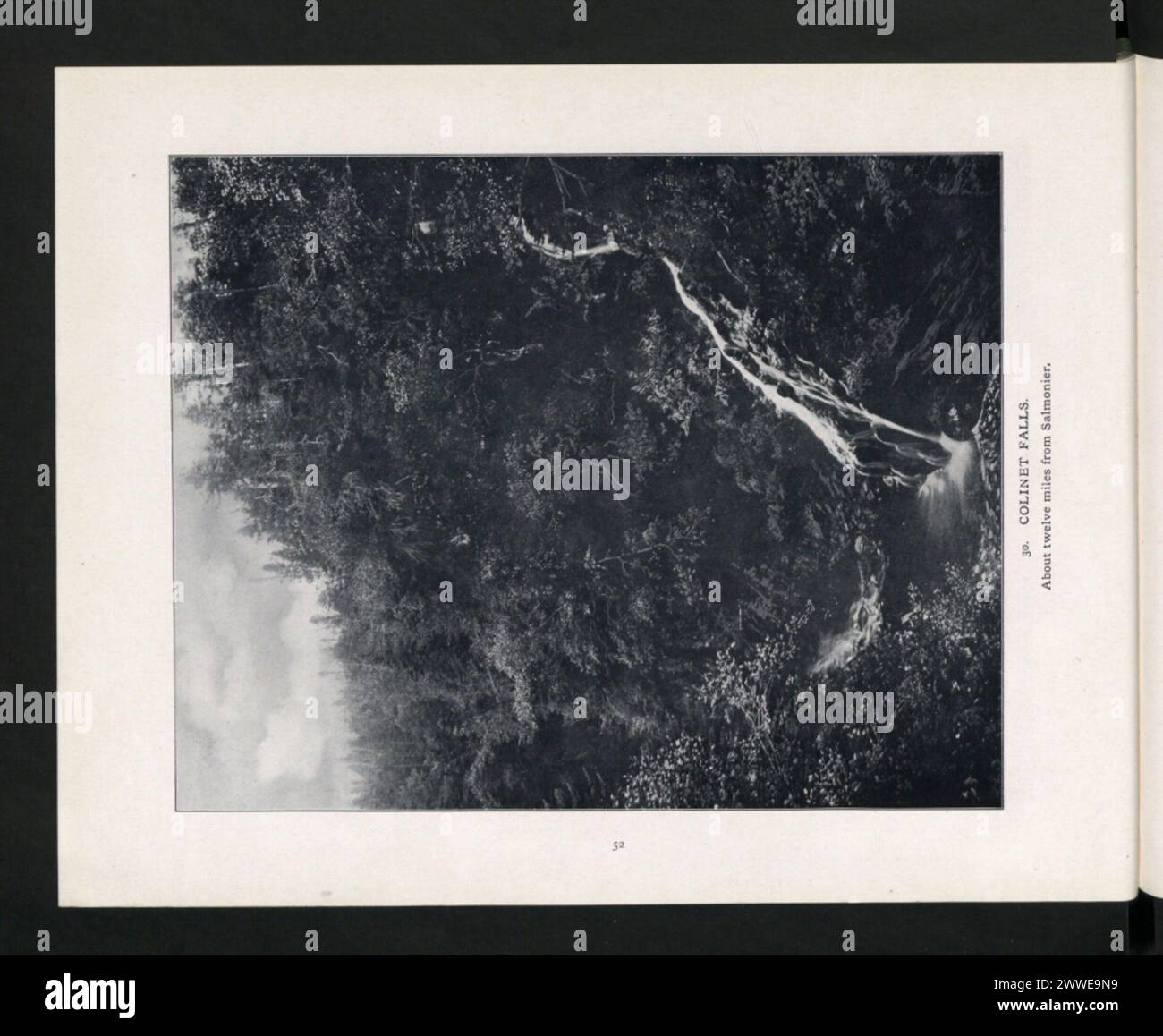 Salmonier hi-res stock photography and images - Alamy