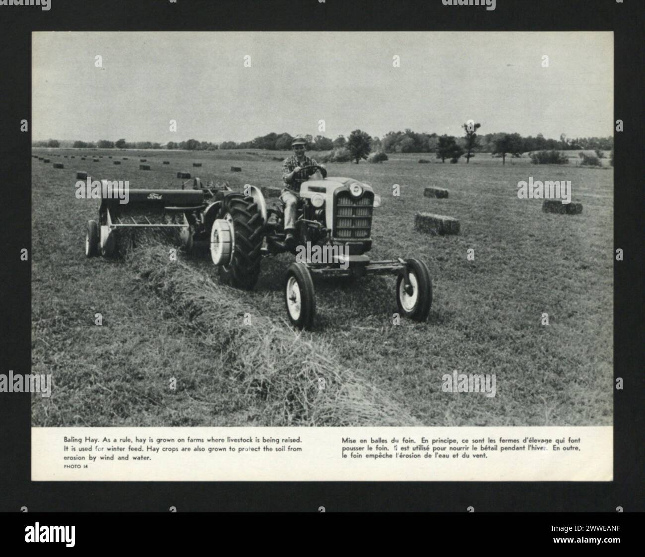 Description: Baling Hay. As a rule, hay is grown on farms where ...