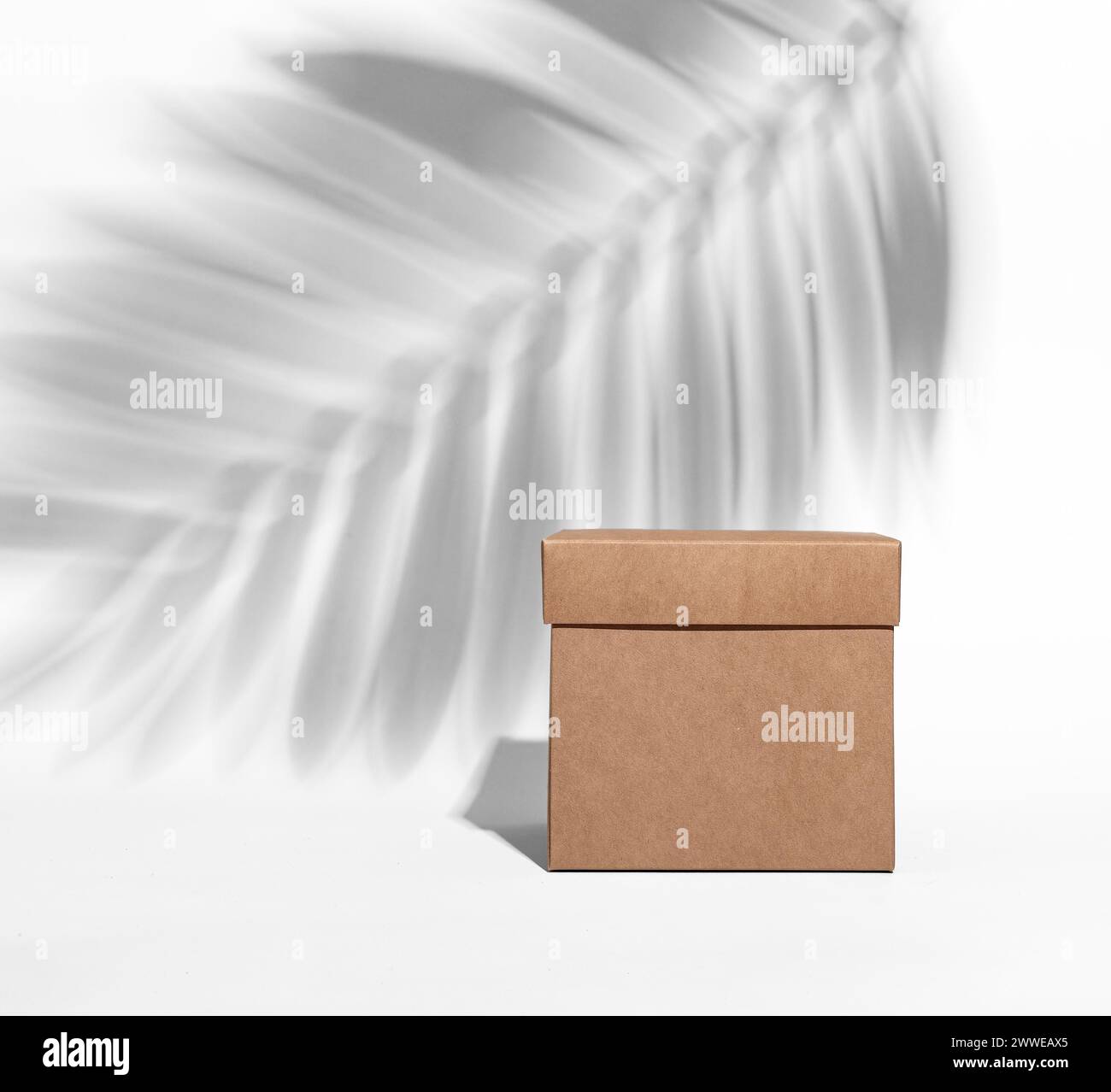 Kraft brown box, craft cardboard, palm leaf shadow Stock Photo - Alamy