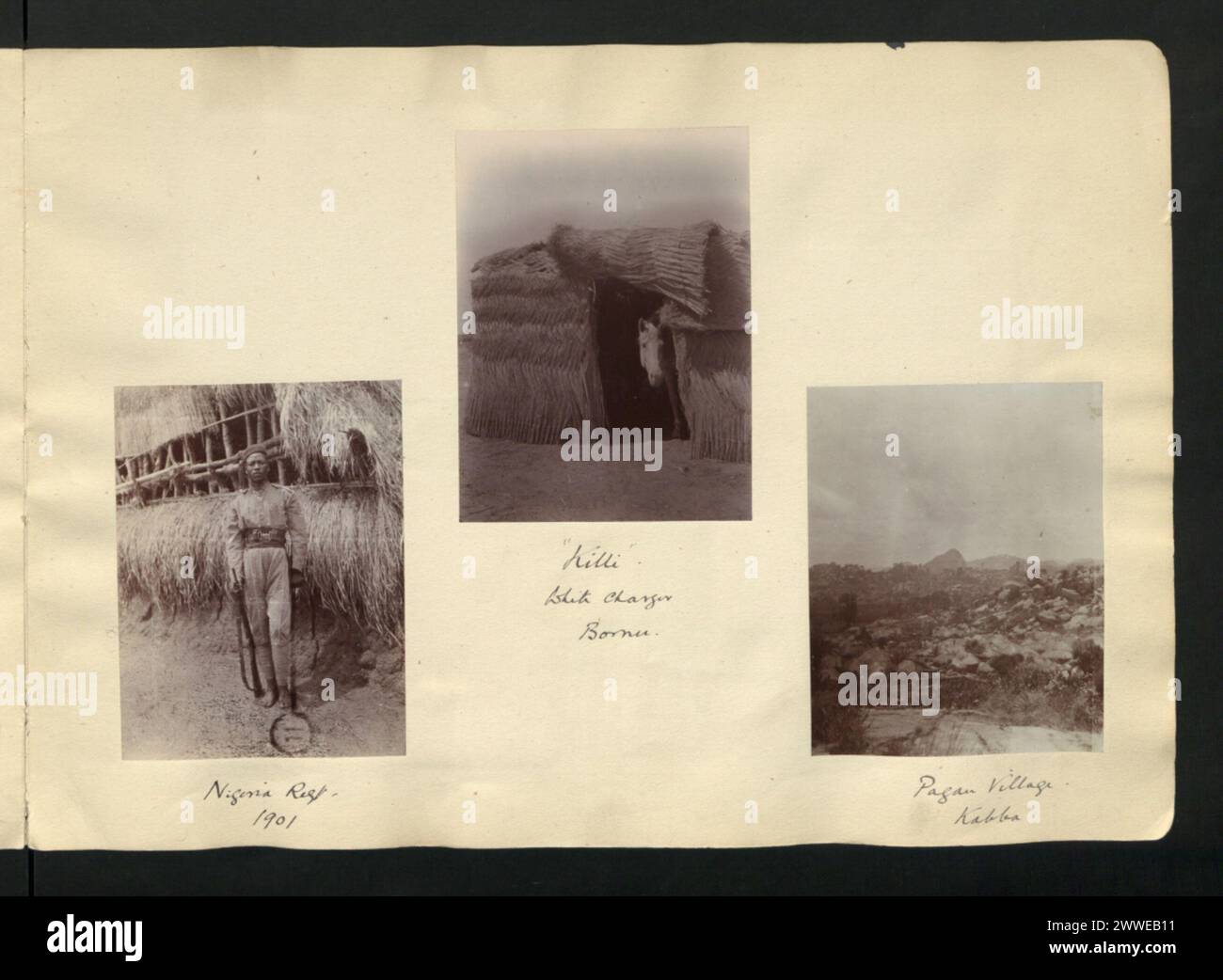 Bornu horse hi-res stock photography and images - Alamy