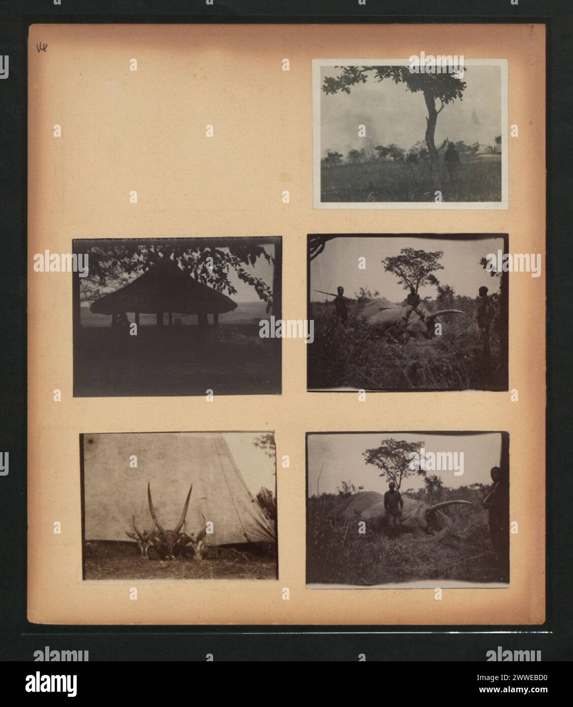 Lubas hi-res stock photography and images - Alamy