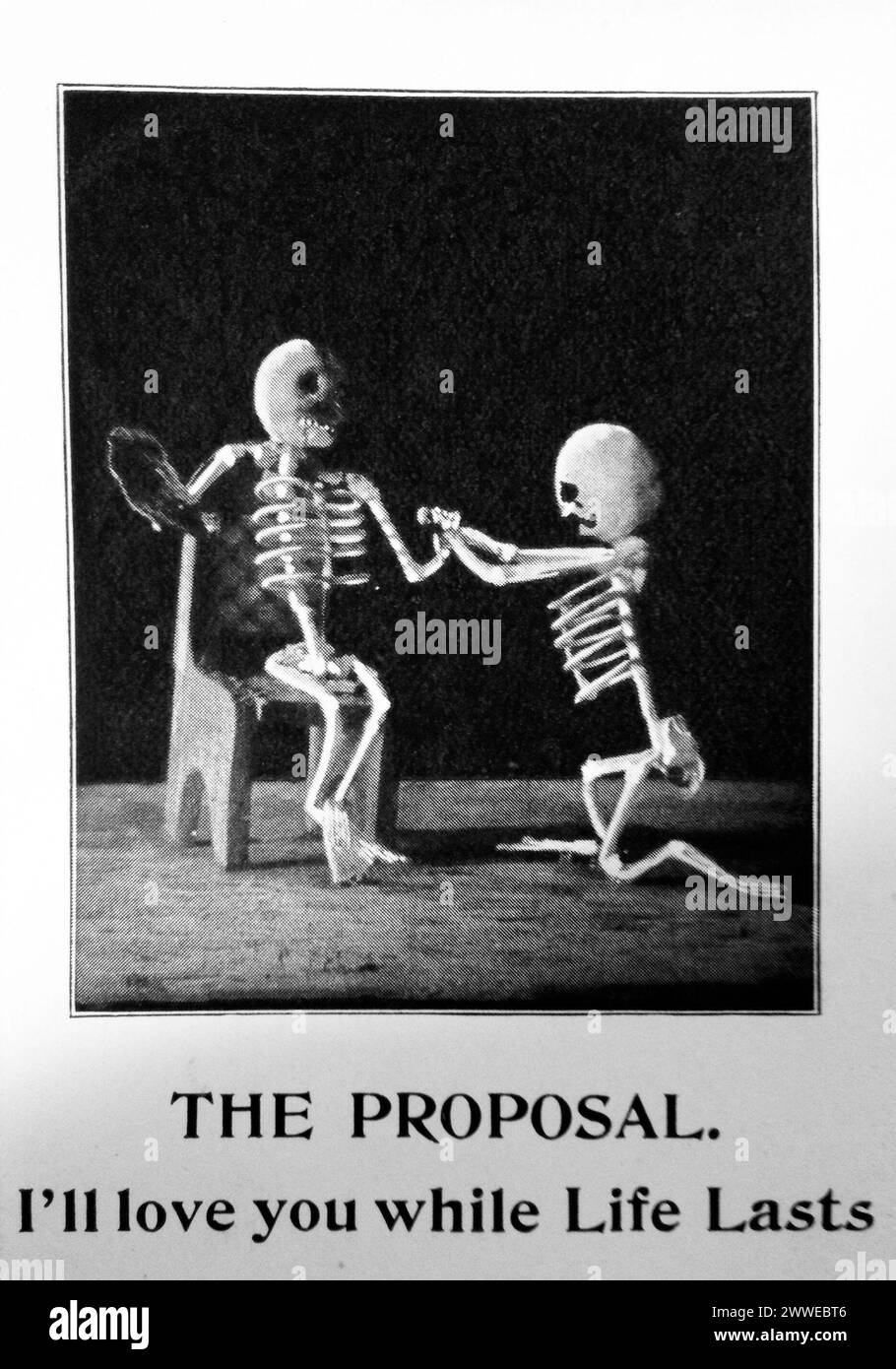 Proposing proposal Black and White Stock Photos & Images - Alamy