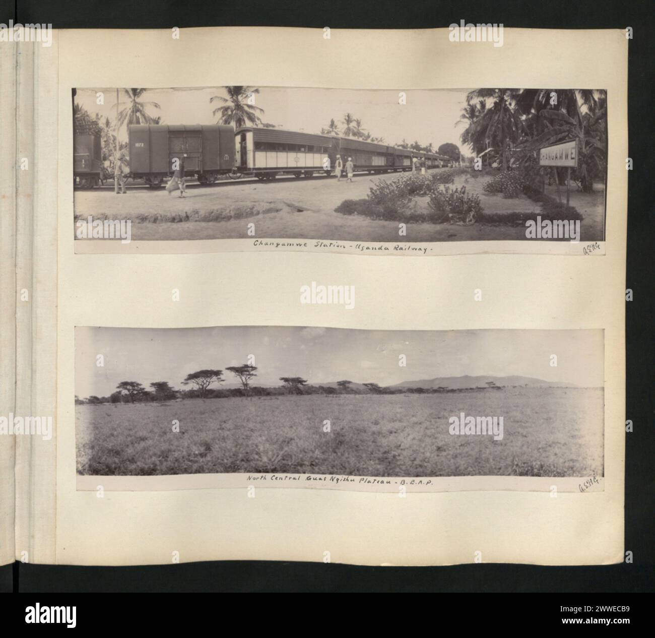 Changamwe hi-res stock photography and images - Alamy