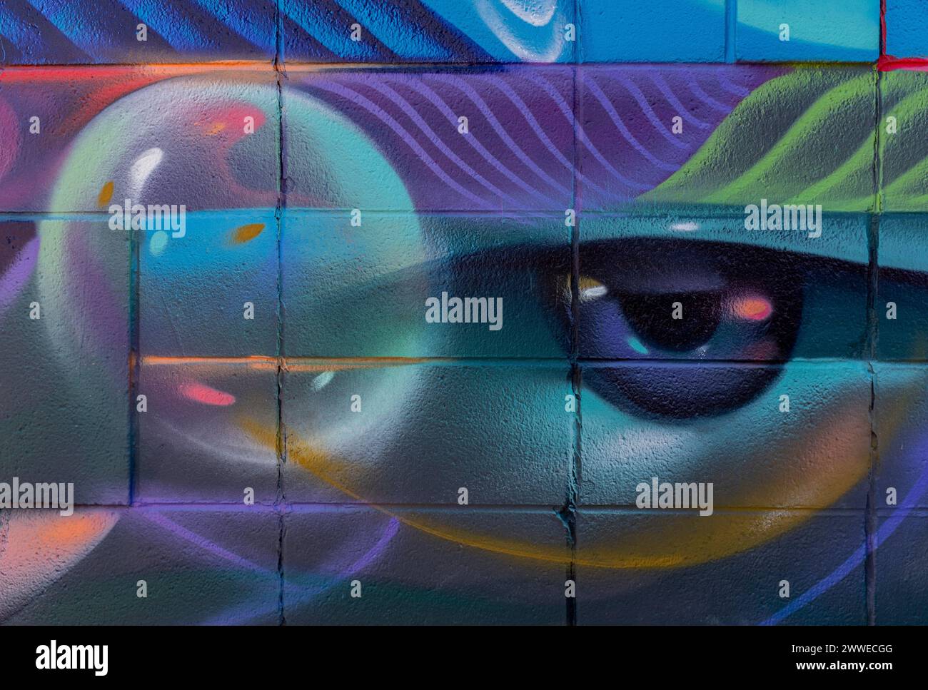 street art (details) in Albuquerque, New Mexico by Jaime "Vyal" Reyes ...