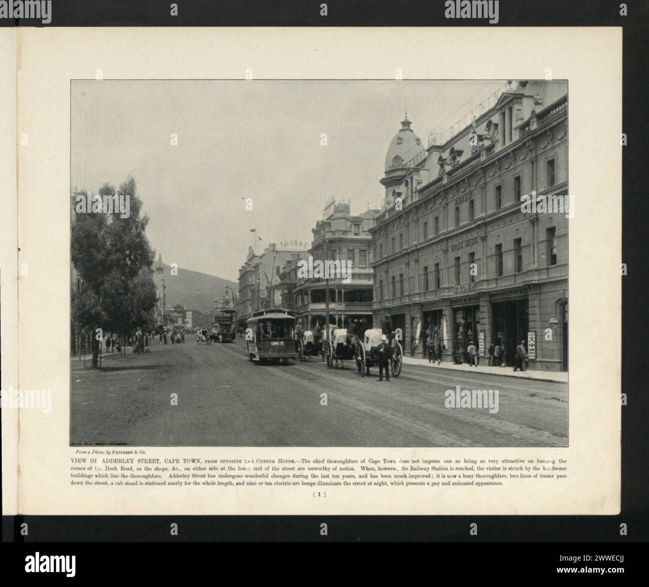 Description: View of Adderley Street, Cape Town, from opposite the ...