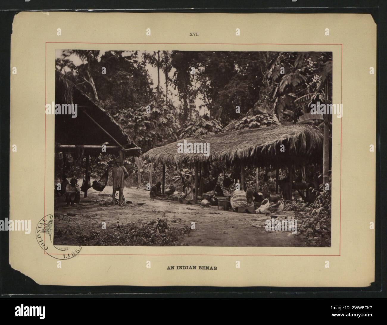 Description: An Indian Benab. Location: Guyana Date: 1870-1931 guyana ...