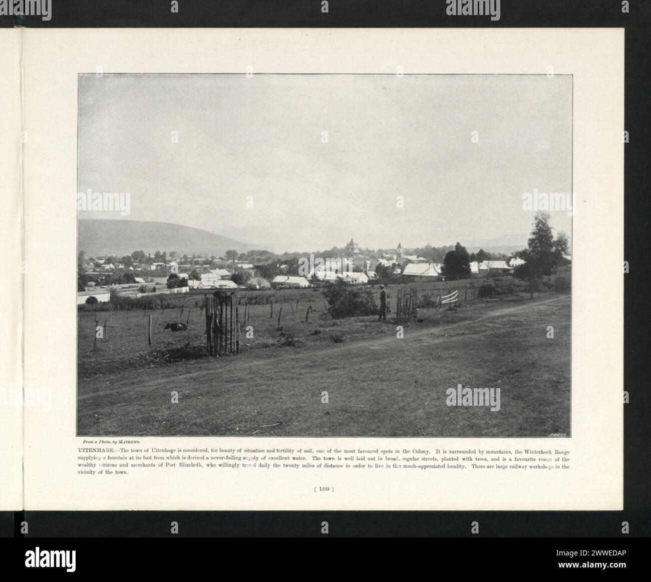 Uitenhage south africa hi-res stock photography and images - Alamy