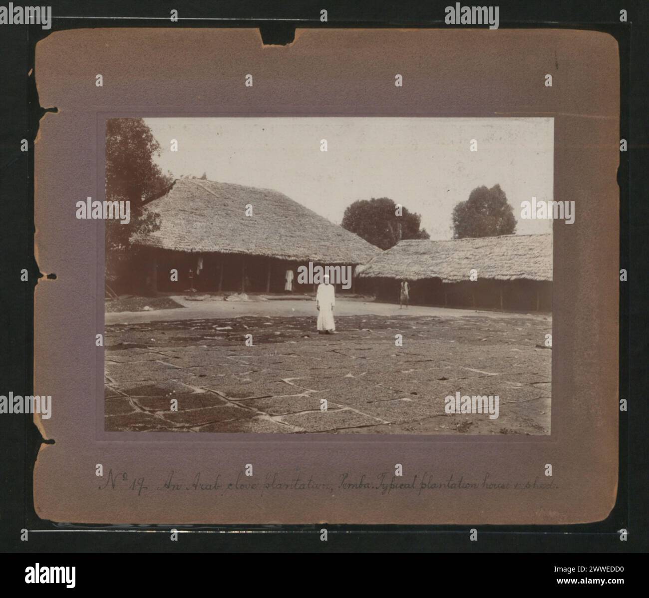 Description: An Arab clove plantation, Pemba. Typical plantation house ...