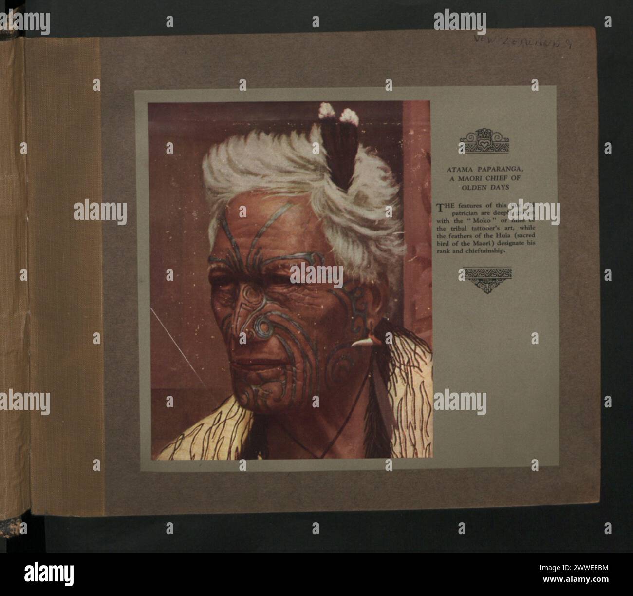 Description: Atama Paparanga, A Maori Chief of olden days. The features ...