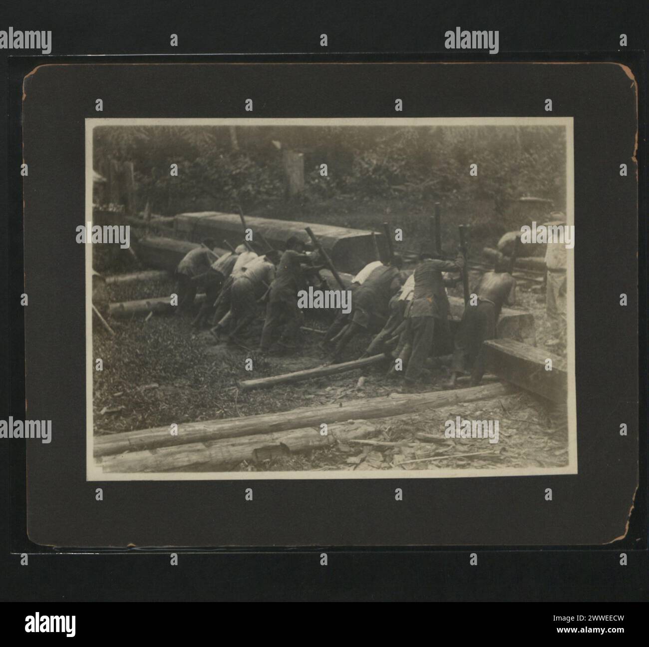 Description: Loading timber by hand - Borneo. Location: Borneo asia ...