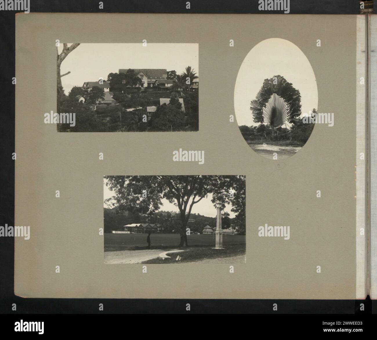 General view of a location in Borneo, showing landscape and environment ...