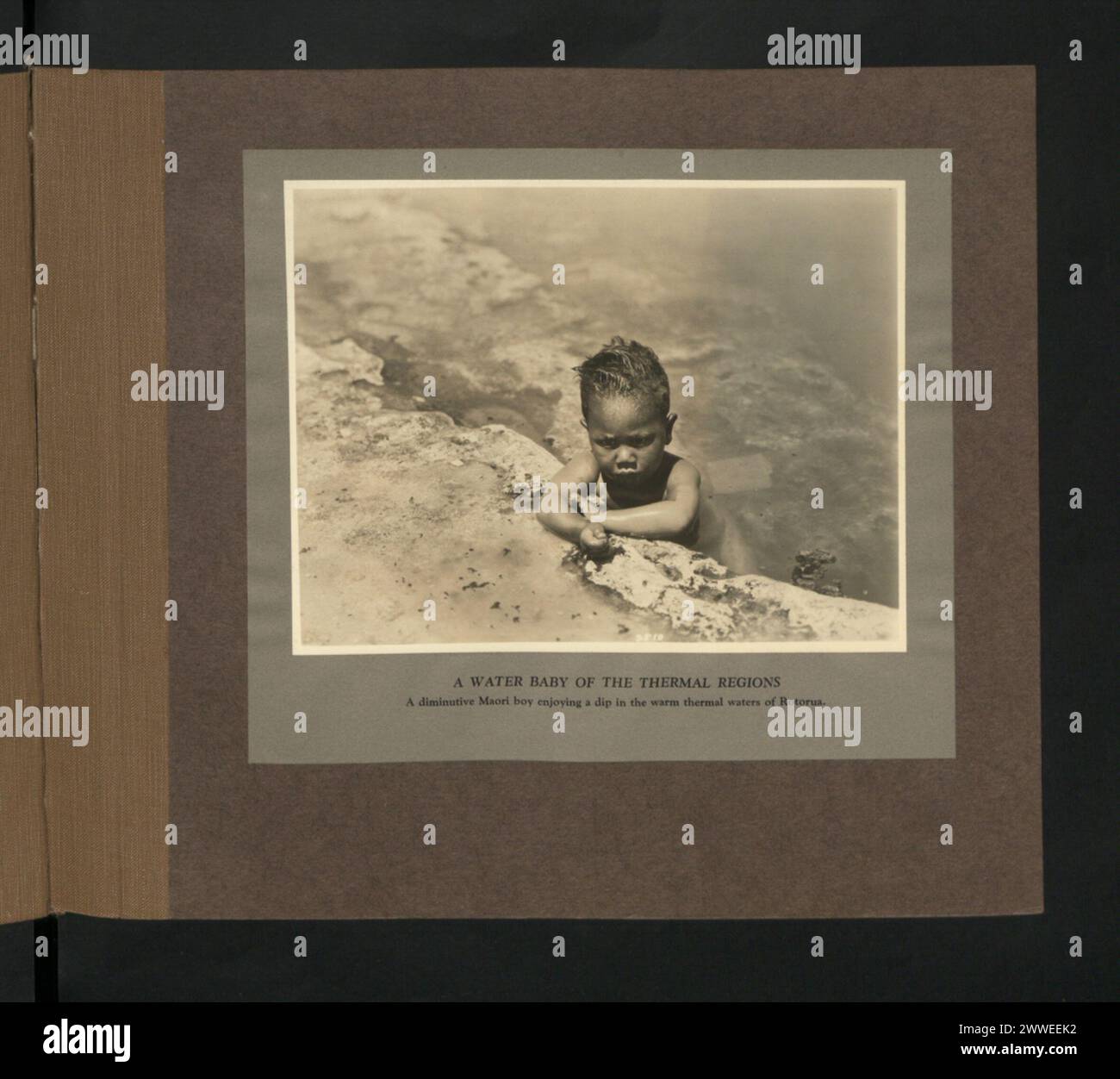 Description: A water baby of the thermal regions. A diminutive Maori ...