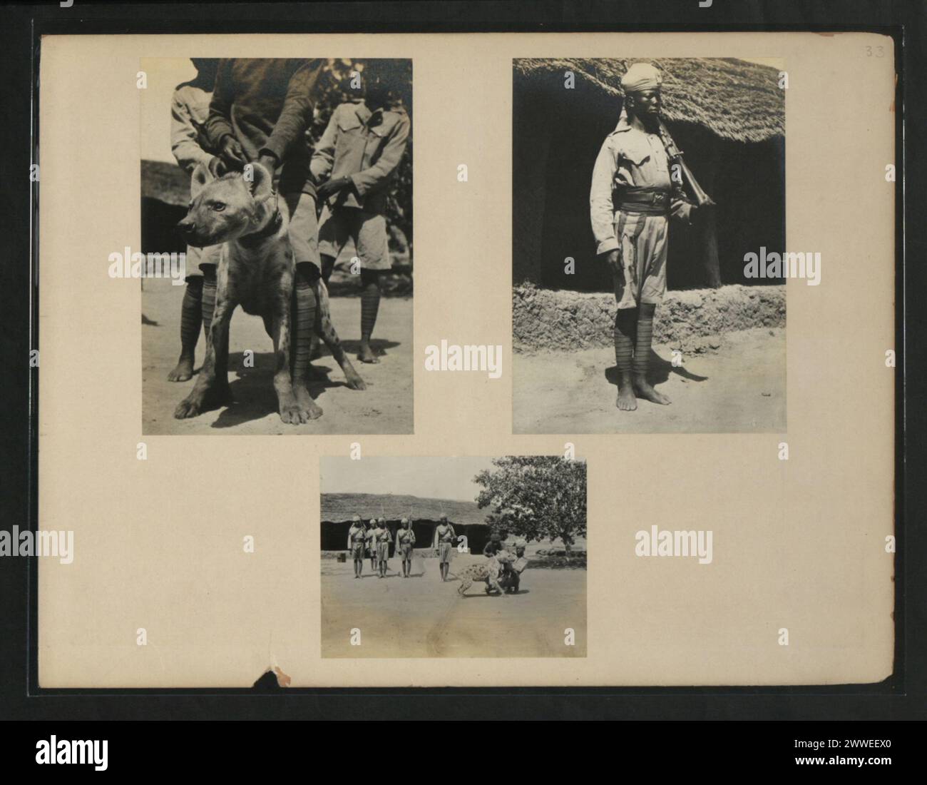 Mounted infantry hi-res stock photography and images - Alamy