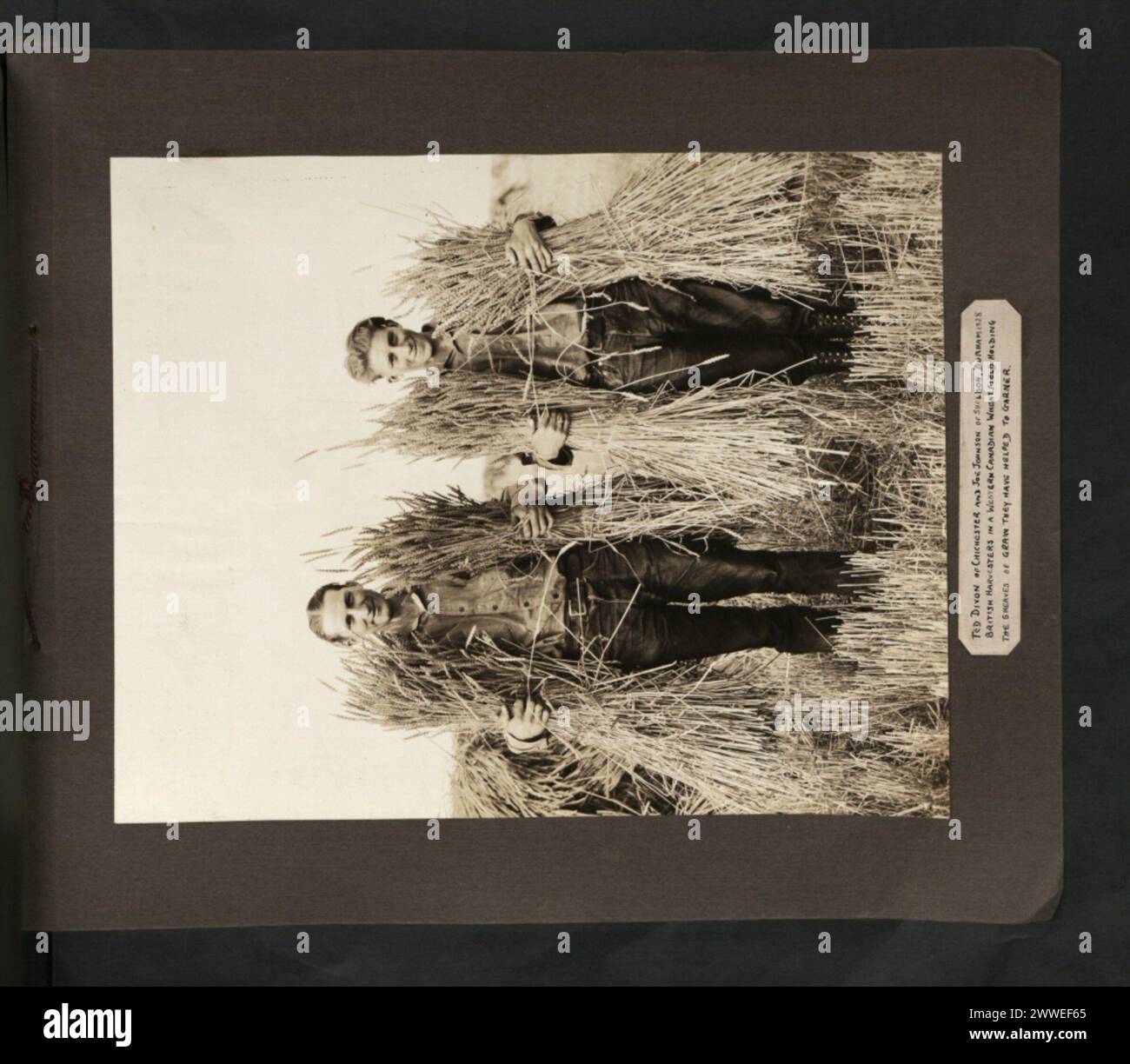 Sheaves of grain hi-res stock photography and images - Alamy