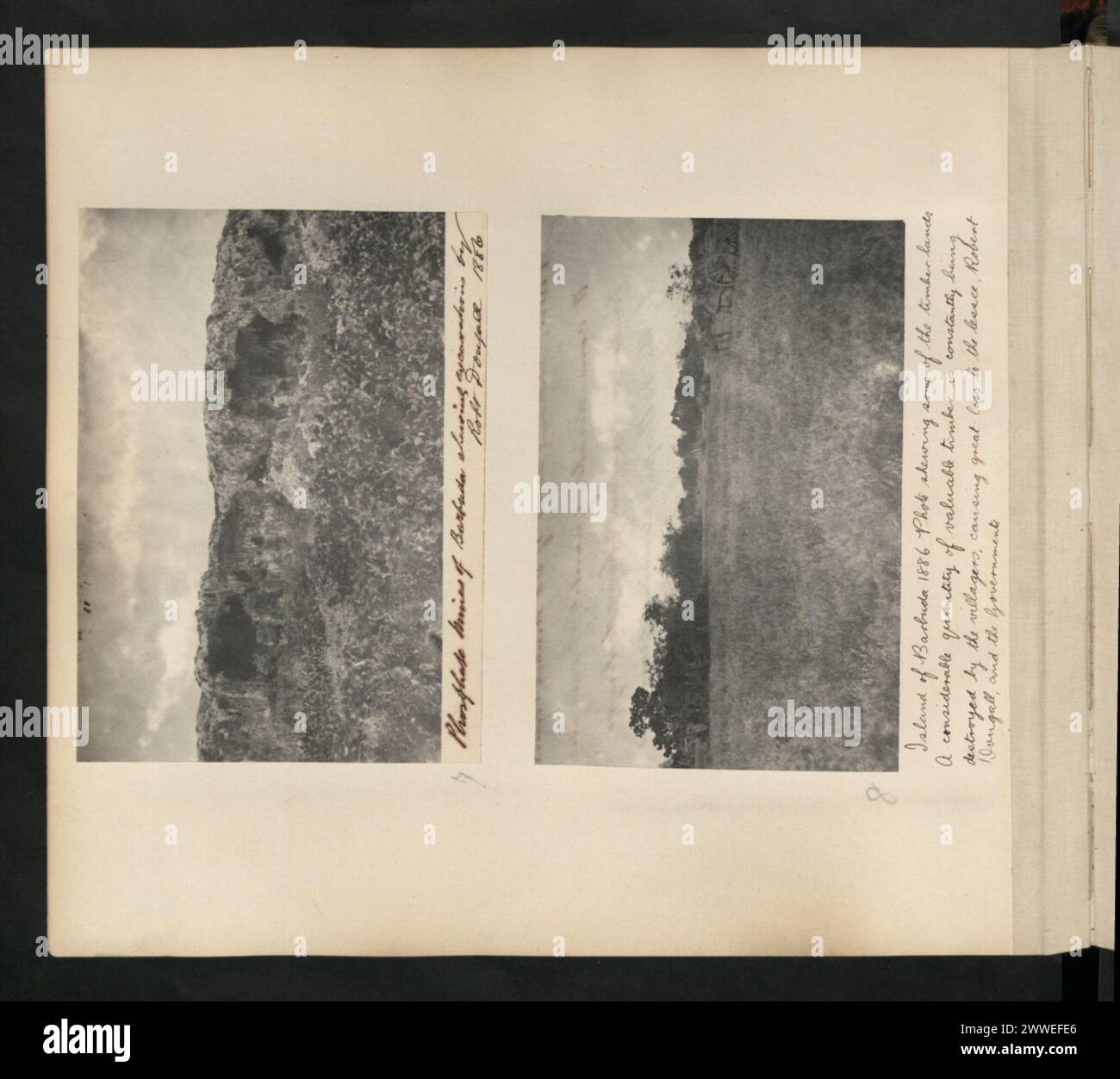 Description: Phosphate mines of Barbuda showing excavations by Robert ...