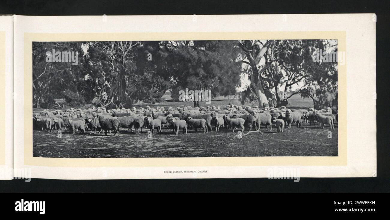Regionalfarm hi-res stock photography and images - Alamy