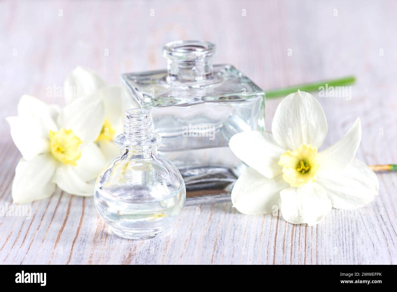 Fragrance and essential oils concept Stock Photo - Alamy