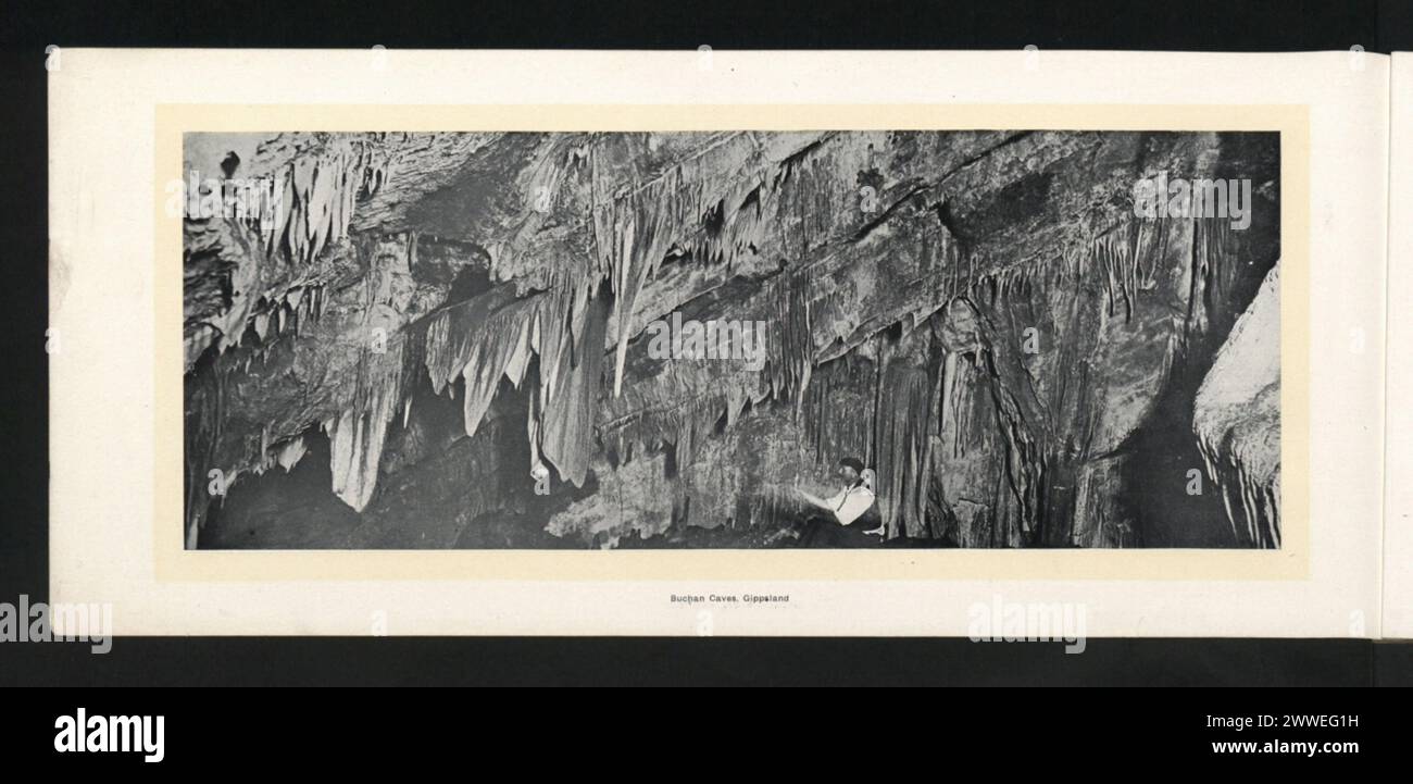 Buchan Caves, located in Gippsland, Victoria, Australia, are limestone ...