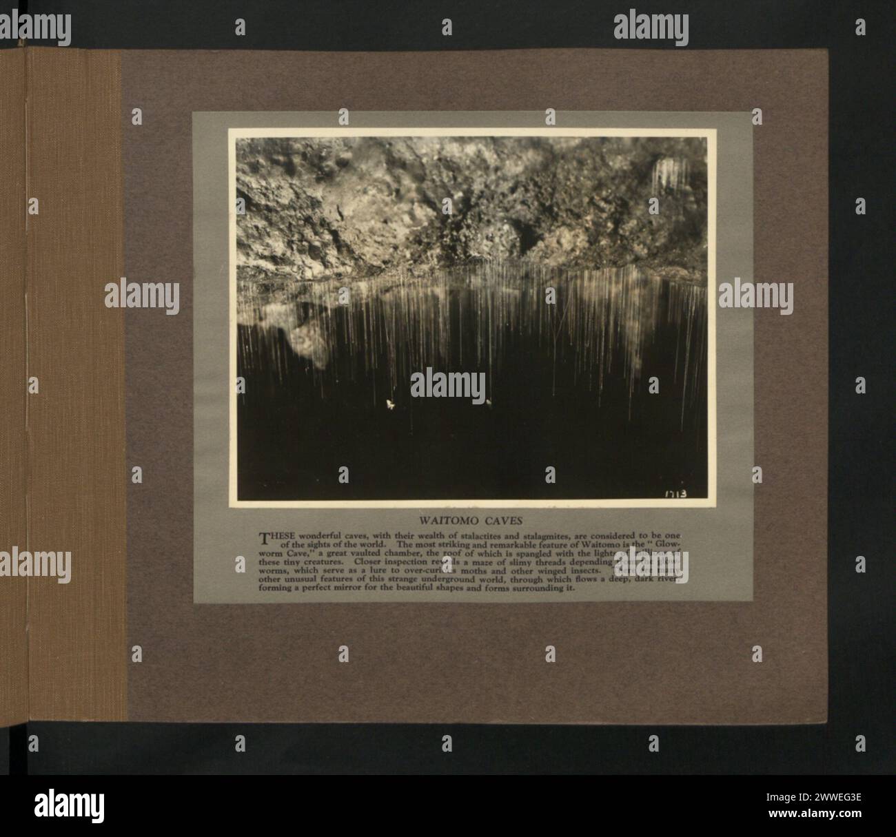 Description: Waitomo caves Location: New Zealand newzealand ...