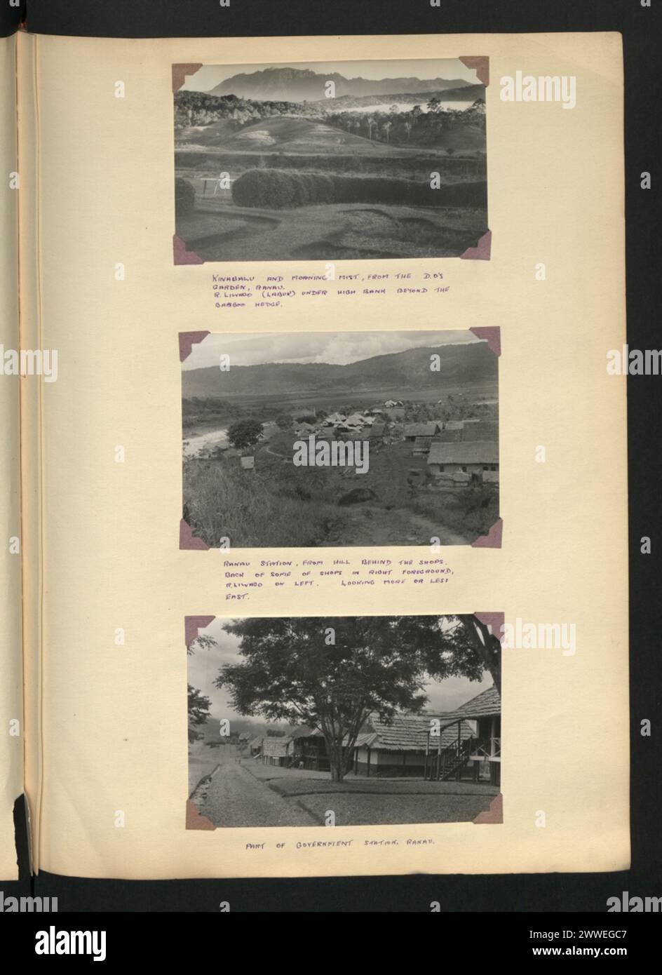 Description: Kinabalu and morning mist, from the D.O's garden, Ranau. R ...