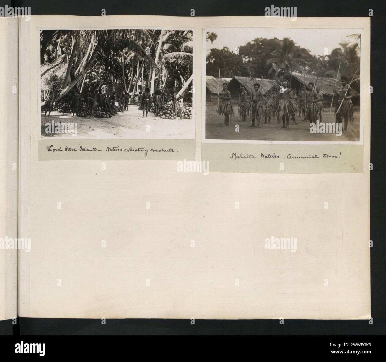 Lord howe islands hi-res stock photography and images - Alamy