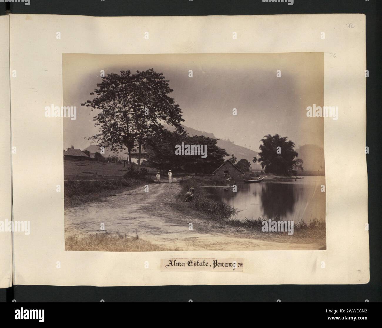 Alma Estate in Penang, Malaya, depicting plantation land, agricultural ...