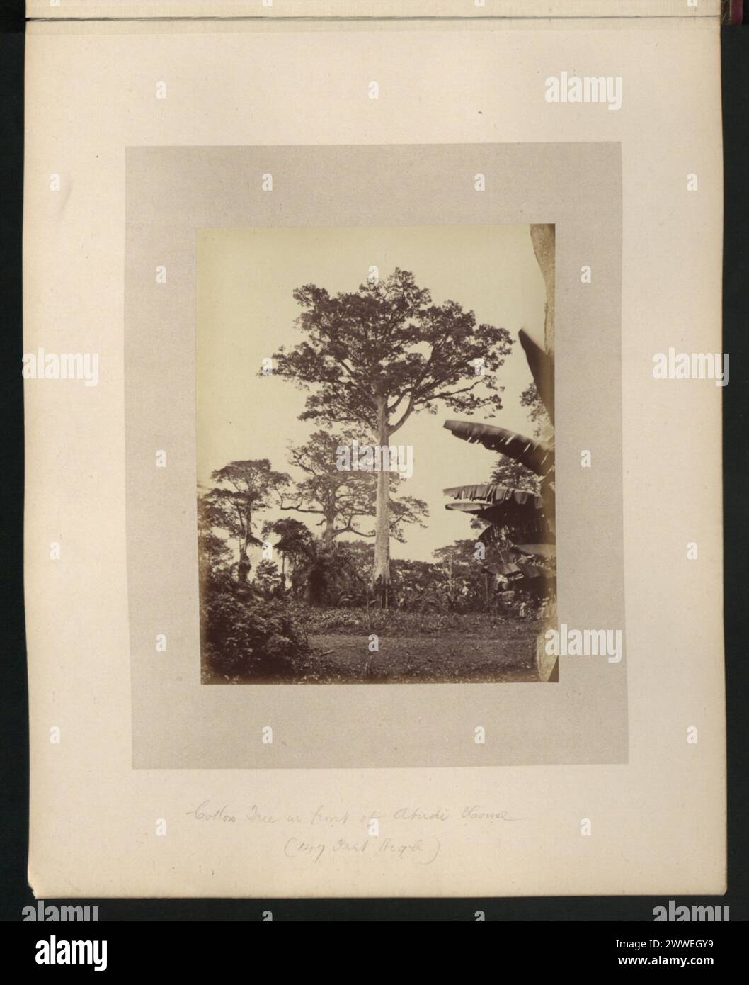 147 feet foot high hi-res stock photography and images - Alamy
